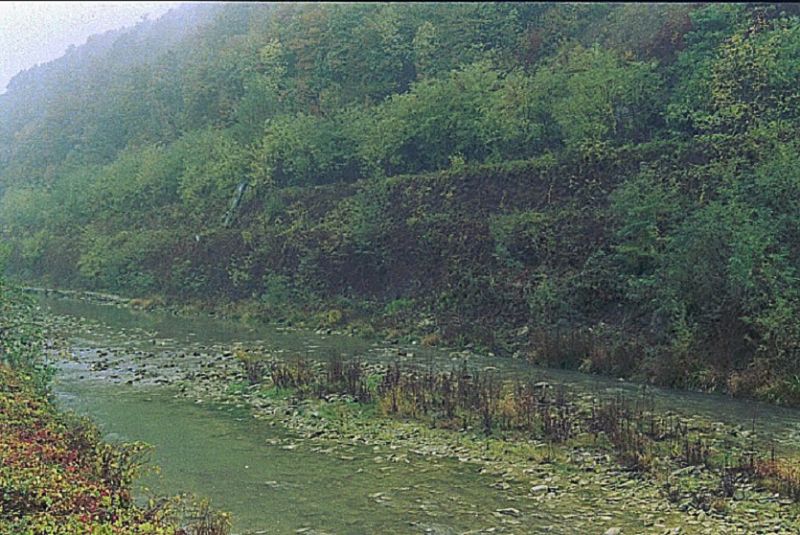 River training - Geoquest's engineered solutions